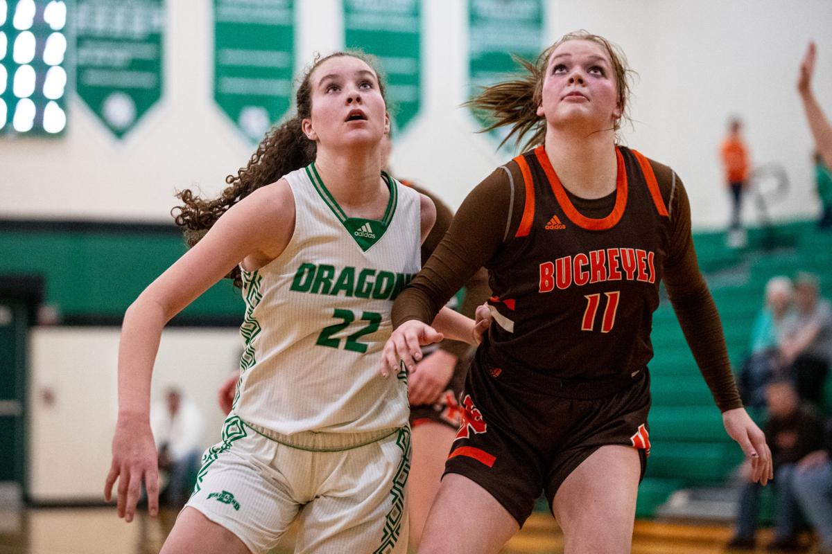 Photos: Fairland vs. Nelsonville-York, girls basketball | Multimedia ...