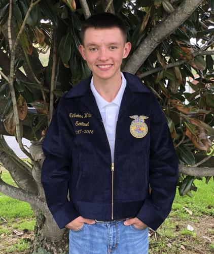 Photos: Tri-State Star Students 2018 | Photo Galleries | herald ...