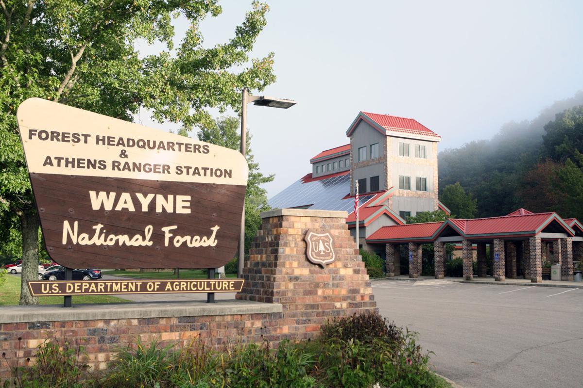 Wayne National Forest proposes changing name to Buckeye National Forest ...
