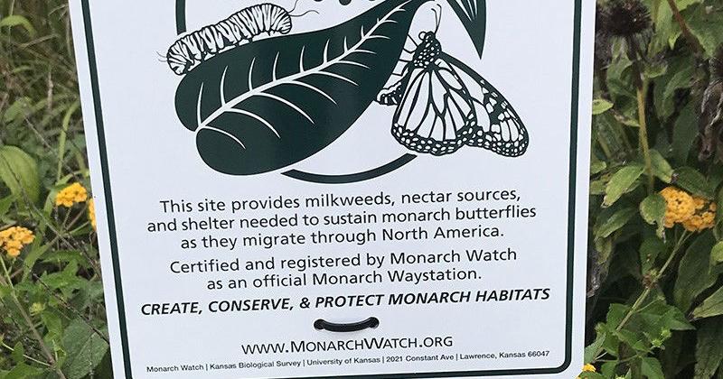 ACTC certified as Monarch Waystation | News | herald-dispatch.com