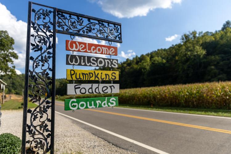 Photos: Wilson Family Farm opens for the season | Multimedia | herald ...