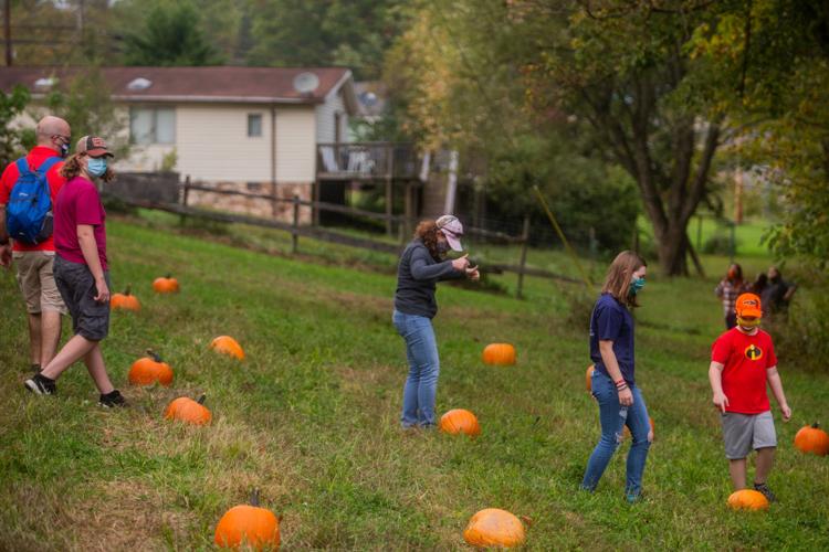 Photos: Corn maze at Cooper Family Farms | Photo Galleries | herald ...