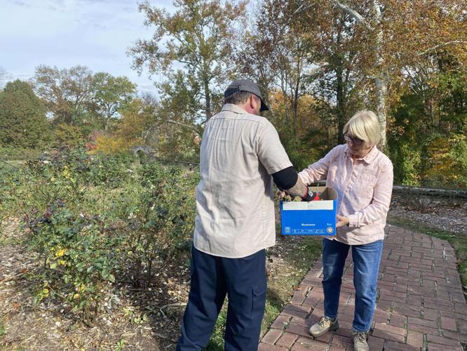 Rose clippings distributed, rose wall fundraiser announced | News ...
