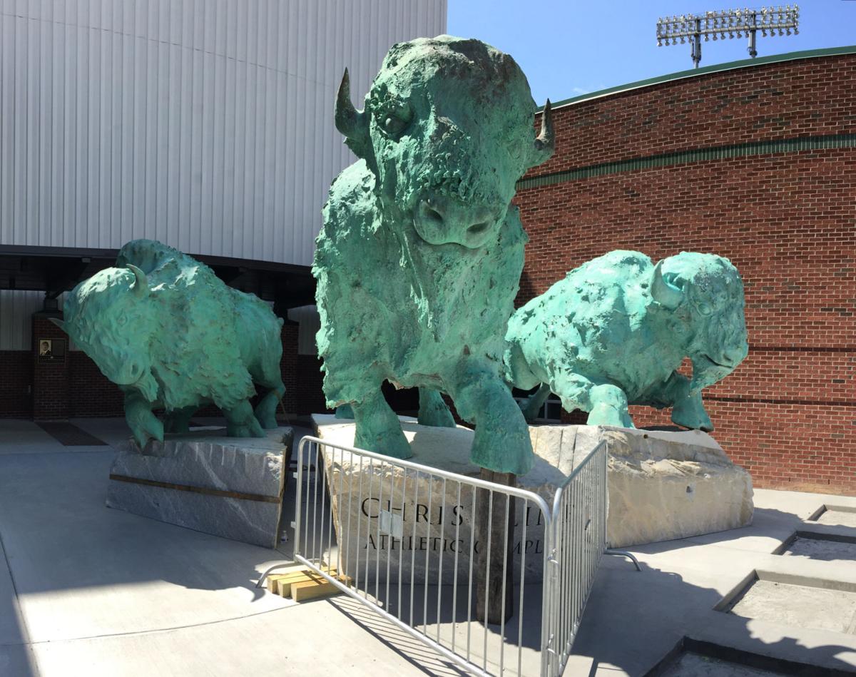 Bronzed buffalo statues added to MU athletic complex | Marshall Sports ...