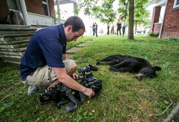 Gallery: Bear sighting in Huntington | News | herald-dispatch.com