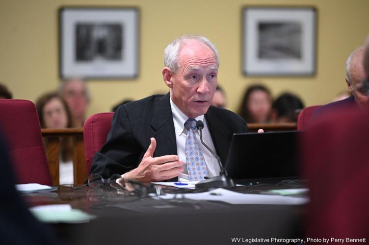House health committee advances DHHR reorganization bill | News ...