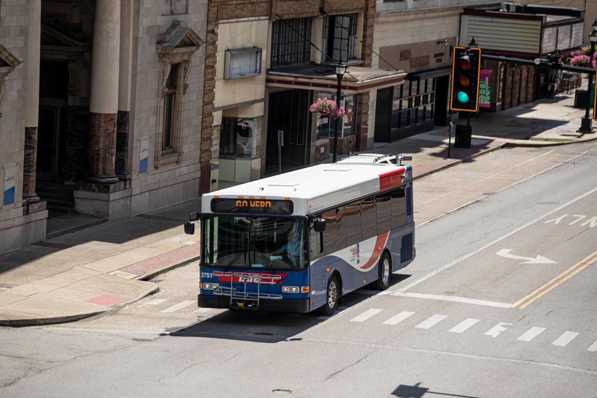 TTA marks 50 years of service, celebrates with free rides | News ...