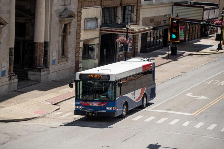 TTA marks 50 years of service, celebrates with free rides | News ...