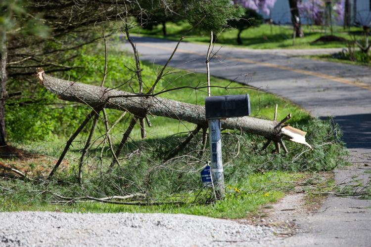 Photos: Area storm damage | Multimedia | herald-dispatch.com