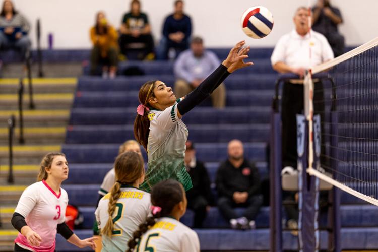 Class AAA, Region 4, Section 1 volleyball: Knights claim sectional ...