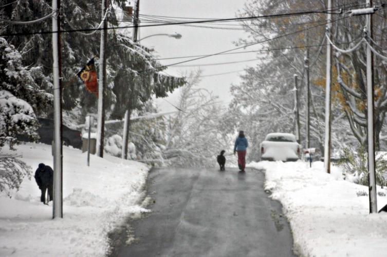 Gallery: Snowstorm in West Virginia | Photos News | herald-dispatch.com