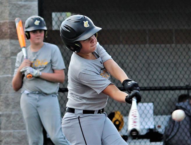 WV Sting host Hounds in summer ball | Putnam News | herald-dispatch.com