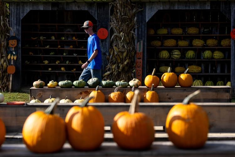 Wilson Family Farm is a hot spot for fall activities; family tradition ...