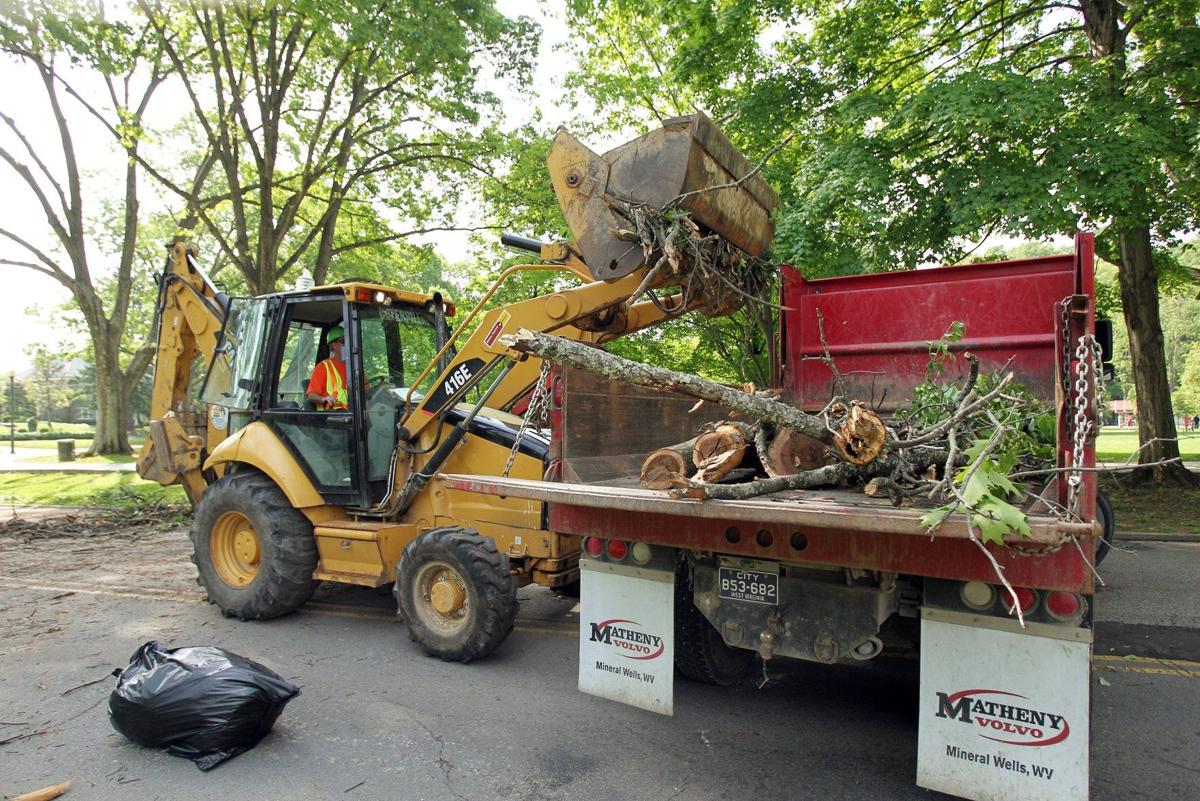 Gallery: Tree Safety Trimming and Dead Wood Removal Project | Photos ...