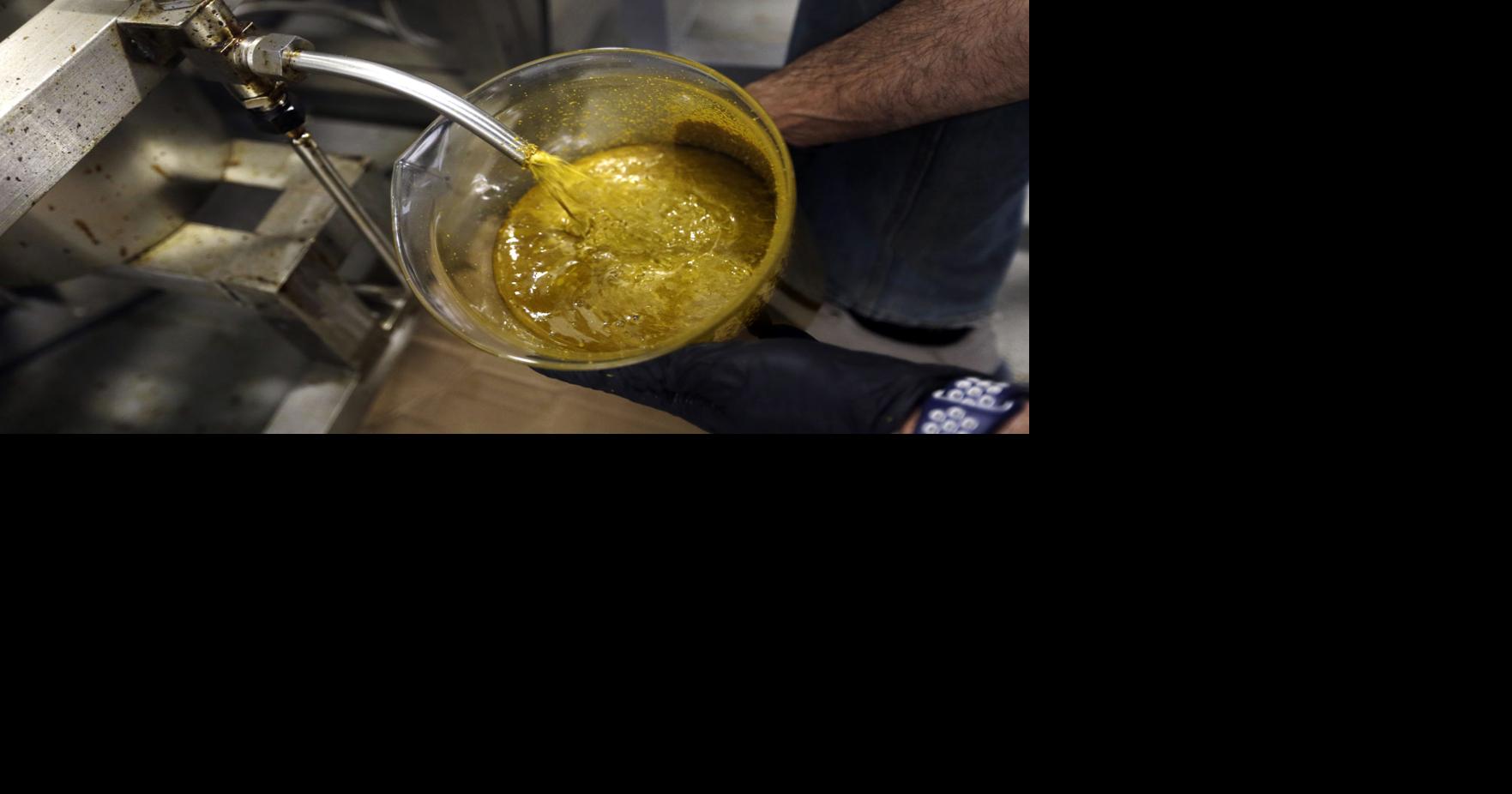 Travis Lemon: CBD and the endocannabinoid system | Features ...