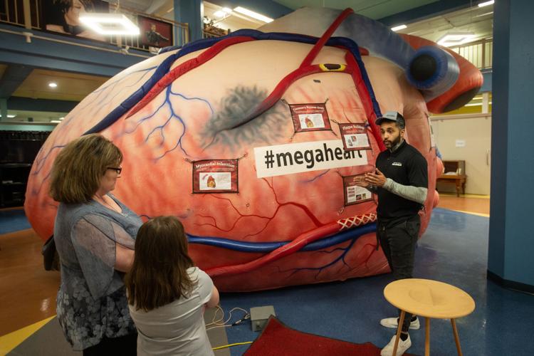 MEGA Heart exhibit on display for two days only in Ashland | News ...