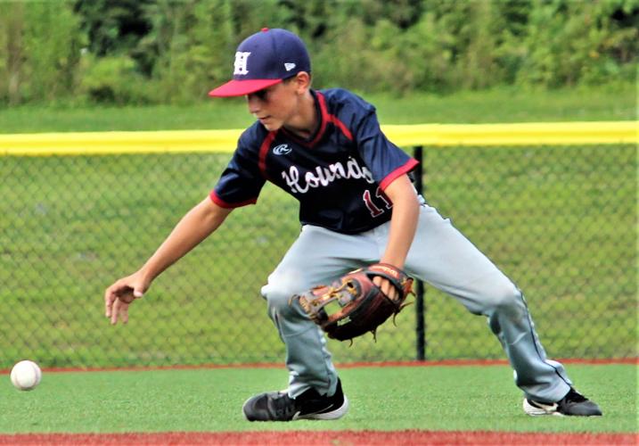 WV Sting host Hounds in summer ball | Putnam News | herald-dispatch.com