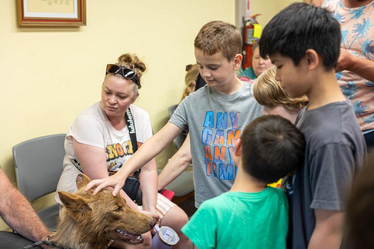 Photos: Cabell County Public Library offers 'Wolves in the Library ...