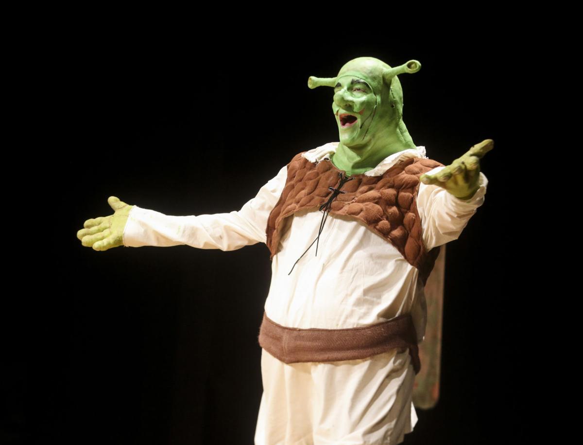 First Stage's 'Shrek: The Musical' a positive experience for new ...