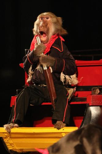 Gallery: 2008 George Carden Super Spectacular Circus | Multimedia ...