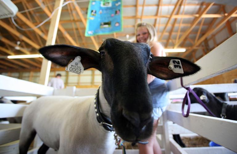 2009 Cabell County Fair schedule | News | herald-dispatch.com