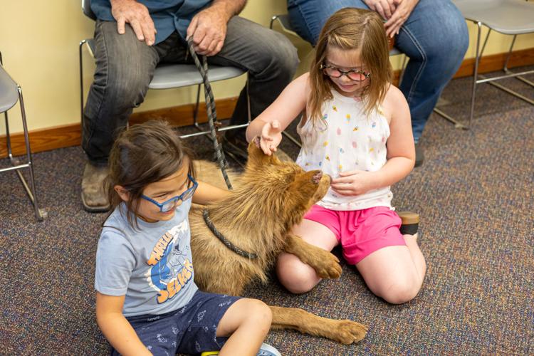 Photos: Cabell County Public Library offers 'Wolves in the Library ...