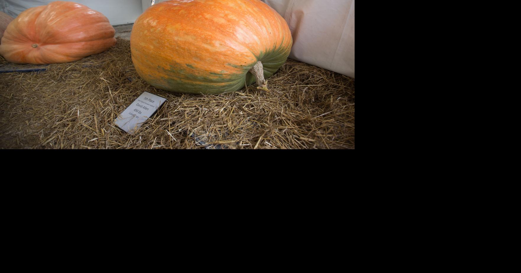 Fall festivals, events near Huntington | Features/Entertainment ...