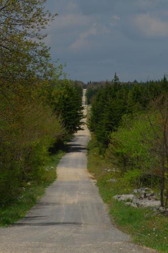 Gallery: Laura Moul photos | Photo Galleries | herald-dispatch.com