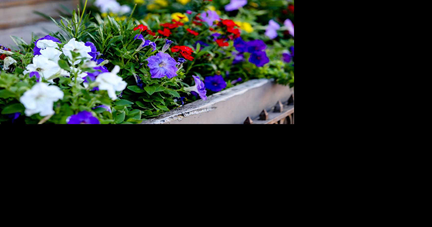 Editorial: Beautification programs gear up this weekend | Opinion ...