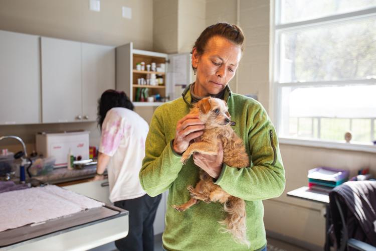 Huntington aimal shelter fundraises after city funding cut | News ...