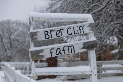 Br'er Cliff Farm to host inaugural winter farmer's market next weekend ...