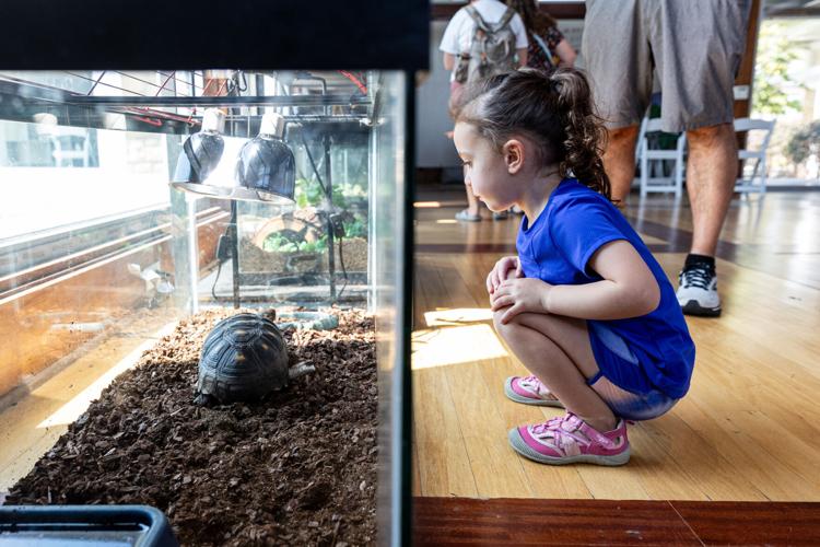 Photos: Zoology Zone Science Center's sneak peek weekend | Multimedia ...