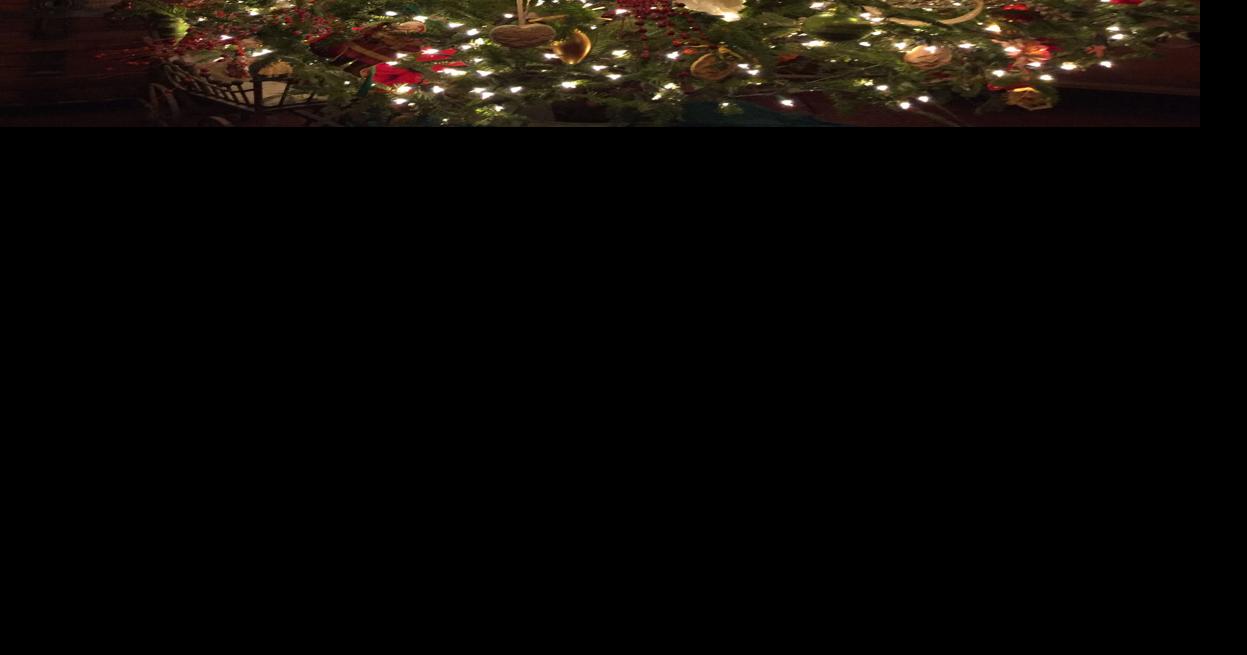 Photos: Entries in our Light It Up! Christmas Tree Photo Contest ...