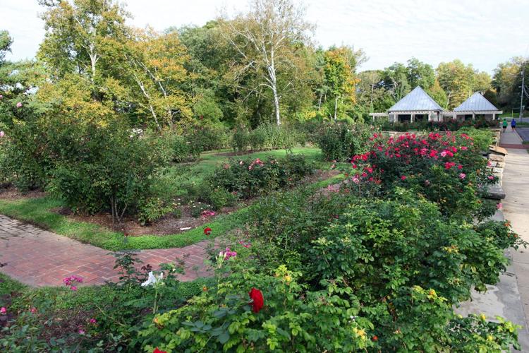 Gallery: Ritter Park | Photos News | herald-dispatch.com