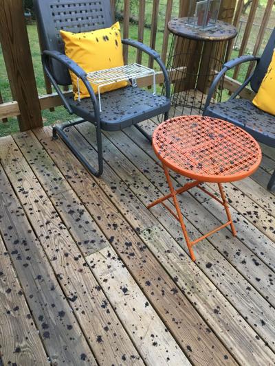 Karin Fuller: It happens | Features/Entertainment | herald-dispatch.com