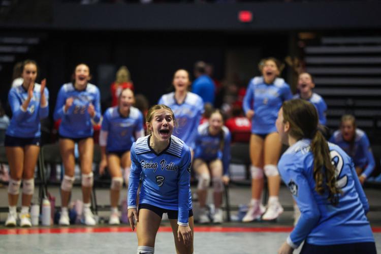 Prep volleyball Class AAA semifinals: Tigers out-spring Timberwolves in ...
