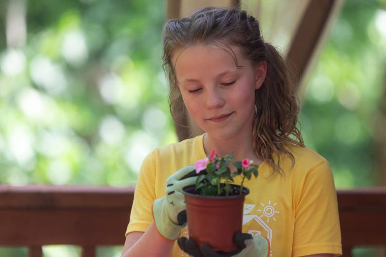 Abby Roe has grown love for plants into community action | Features ...