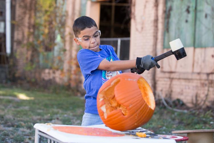 Pumpkin Smash bash lets residents turn holiday decor into animal food ...