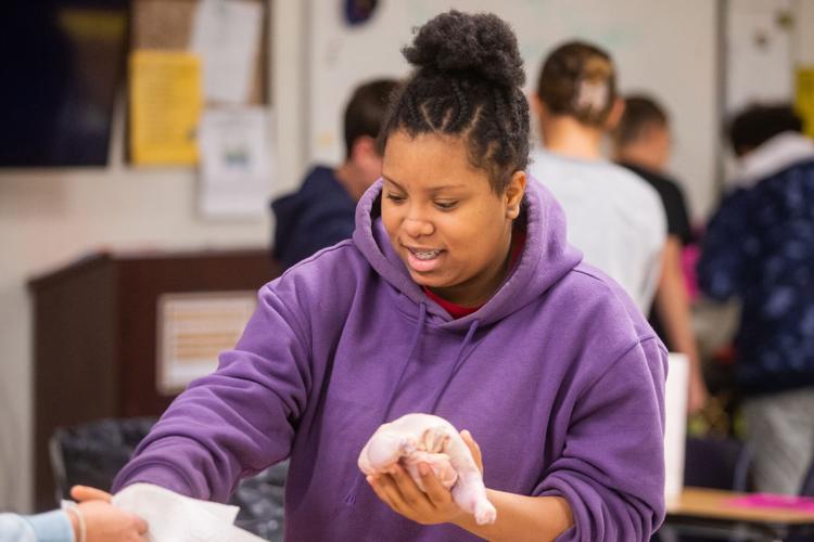 Photos: Students mummify chickens at Huntington Middle School ...