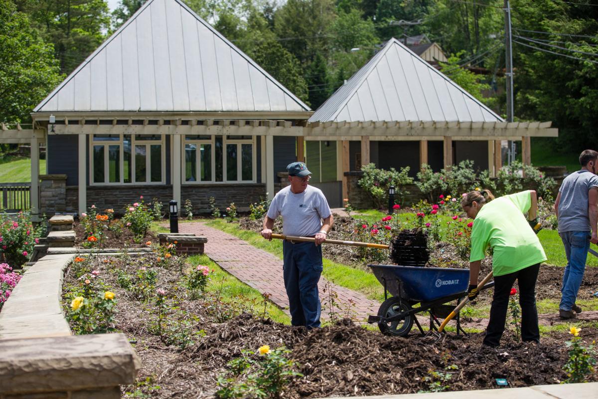 Colorful blooms on display in Ritter Park Rose Garden | News | herald ...