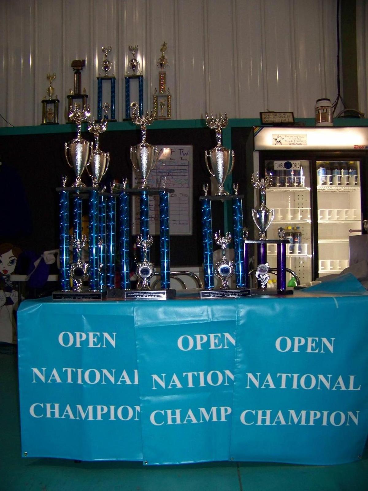 Tumble World teaches more than just cheerleading | Ohio News | herald ...
