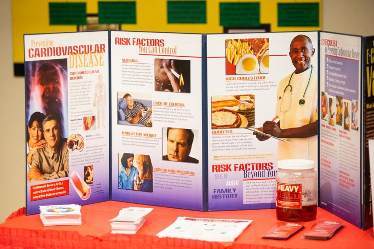 MEGA Heart exhibit on display for two days only in Ashland | News ...