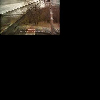 Amy Deal: Ohio poet laureate's works give reader an appreciation for ...