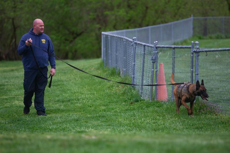 Photos: K9 officer training seminar | Multimedia | herald-dispatch.com