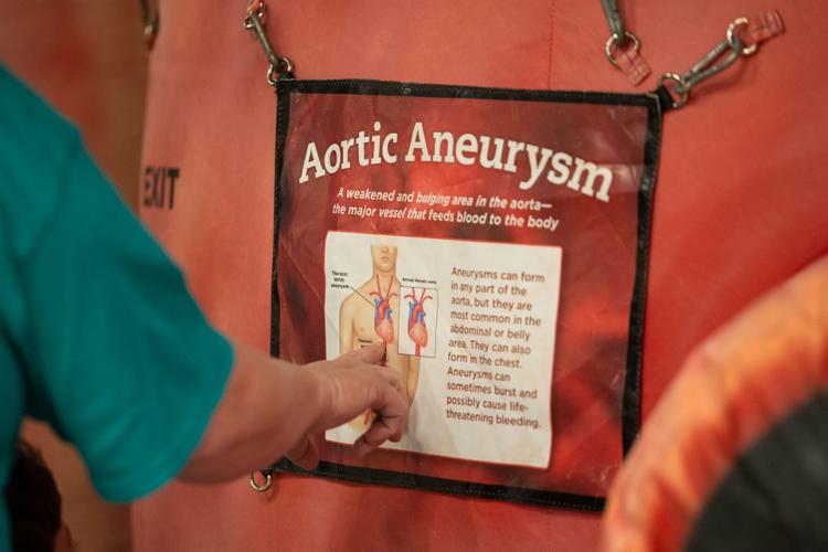 Photos: “Mega Heart” exhibit at the Highlands Museum & Discovery Center ...