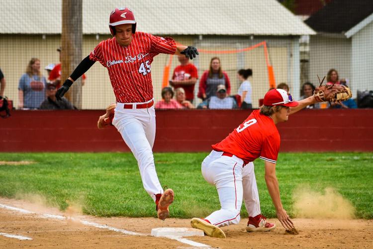 Gray matters in White Falcons' state tourney run | Sports | herald ...