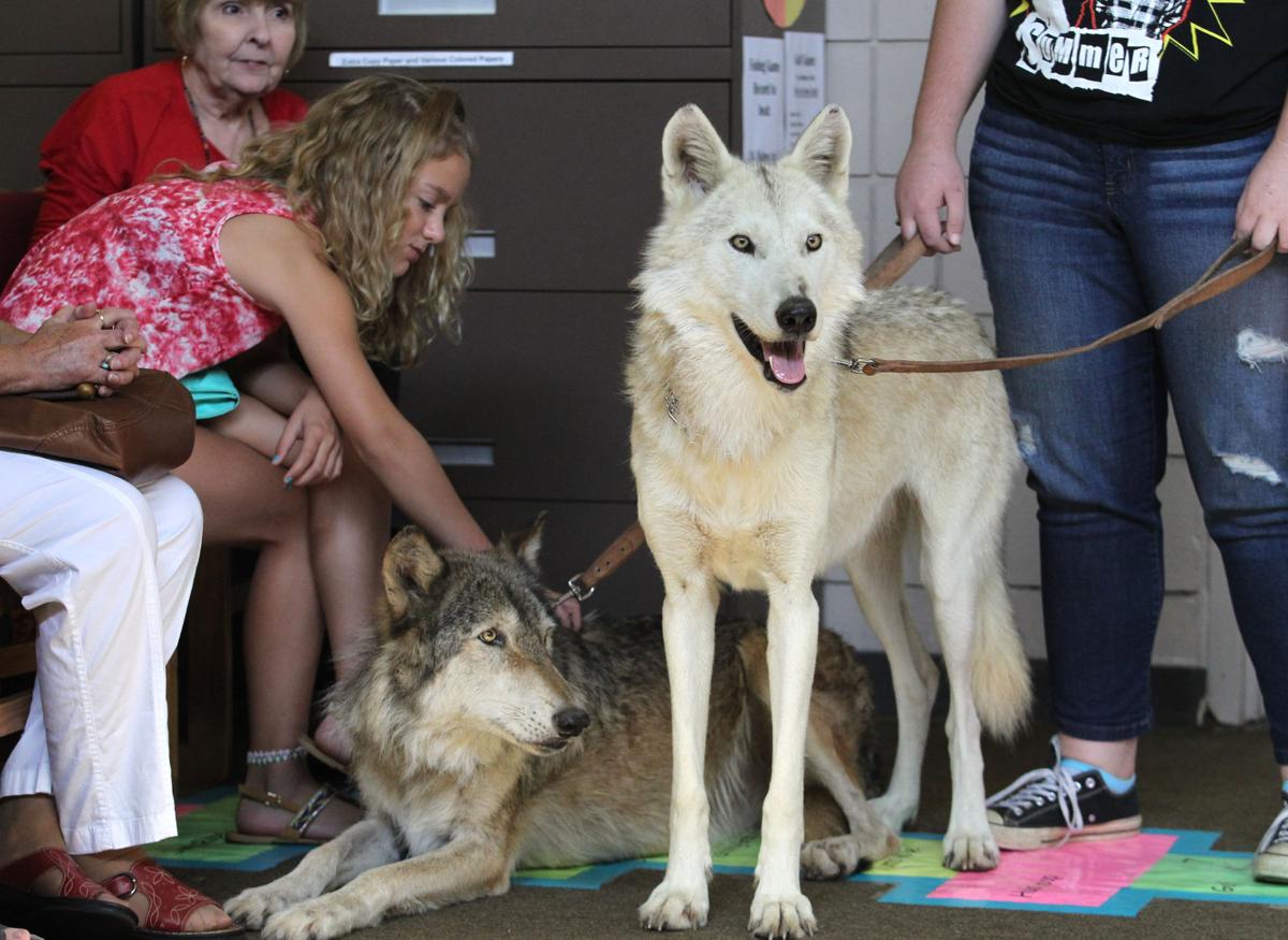 Photos: Southern Ohio Wolf Sanctuary visits Guyandotte Library ...