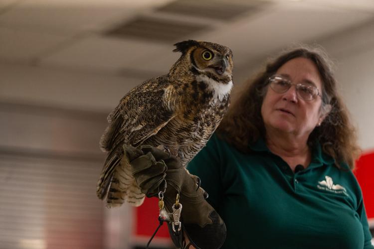 Chicken Tender Club wraps up school year with activities, avian ...
