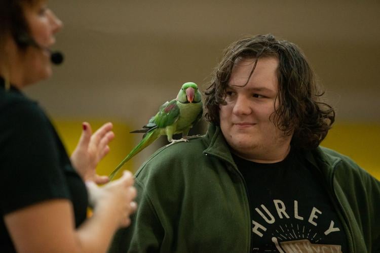 Photos: Families Attend Interactive Animal Show | Multimedia | herald ...