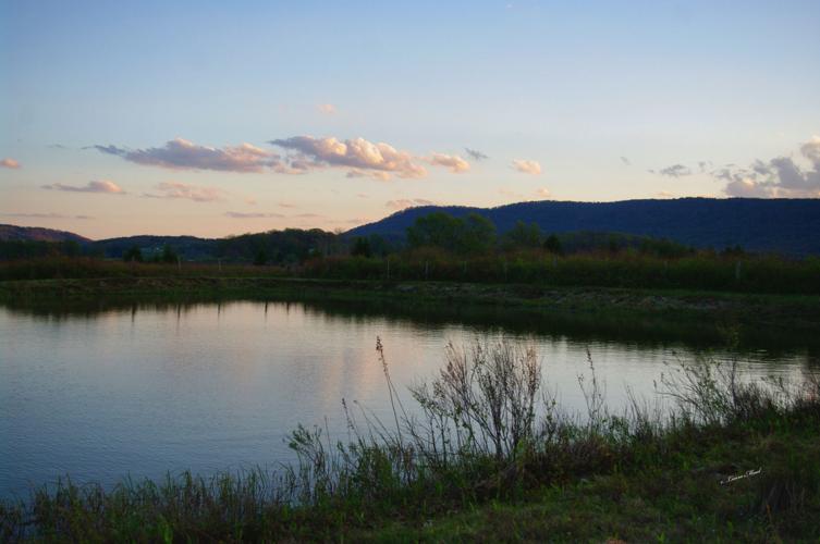 Gallery: Laura Moul photos | Photo Galleries | herald-dispatch.com